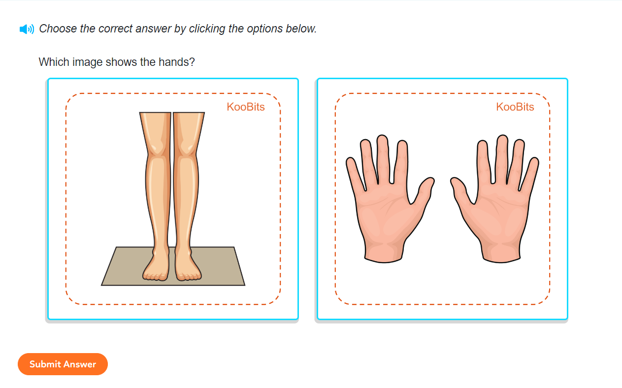 KooBits Science: The Ultimate Toolkit to Ace Primary School Science
